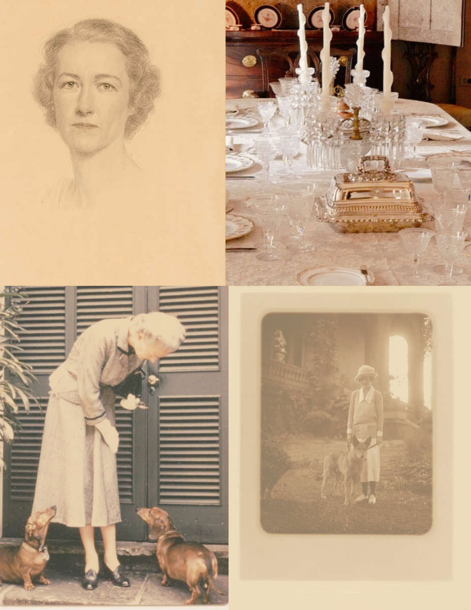 The Leila Williams Collection – The Shop at The Collection