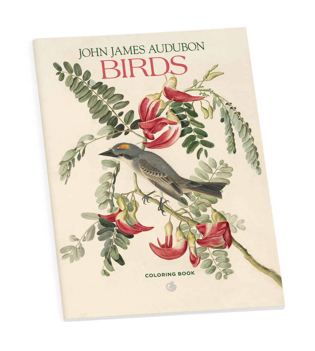 John James Audubon: Birds Coloring Book – The Shop at The Collection